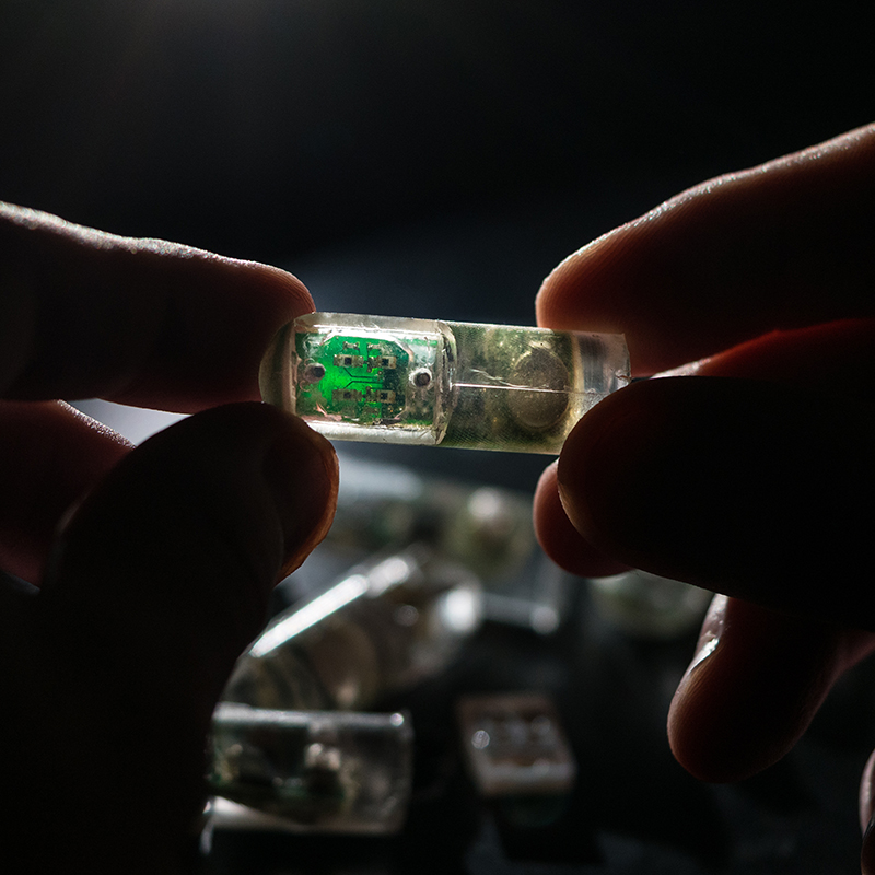 New edible electronic device to investigate gut conditions | WELLNESS ...